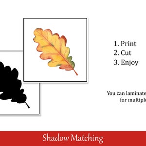 Autumn Leaves Shadow Matching Cards, Toddler Montessori Printable - Etsy