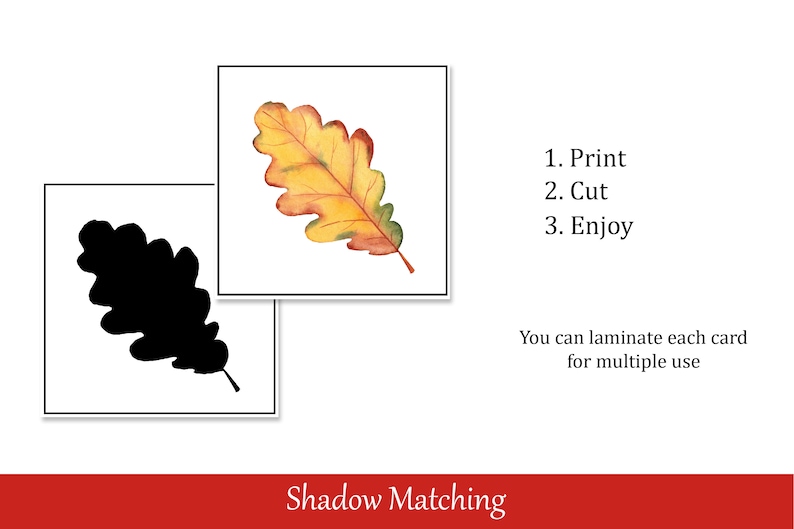 Autumn Leaves Shadow Matching Cards, Toddler Montessori Printable - Etsy