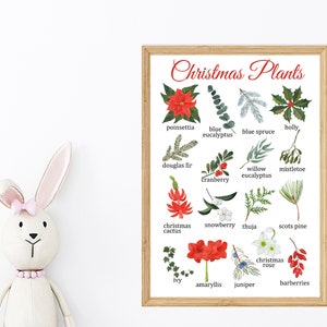 Christmas Plants Identification Montessori Poster, Educational Poster ...