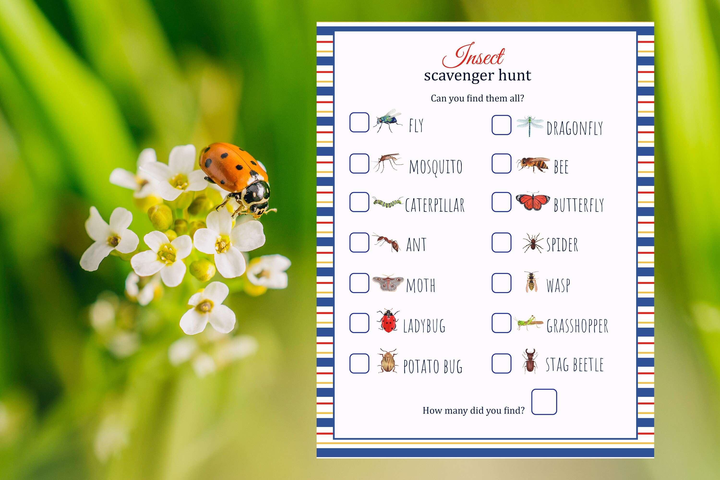 Insects Scavenger Hunt, Summer Activity for Kids, Printable Game for ...