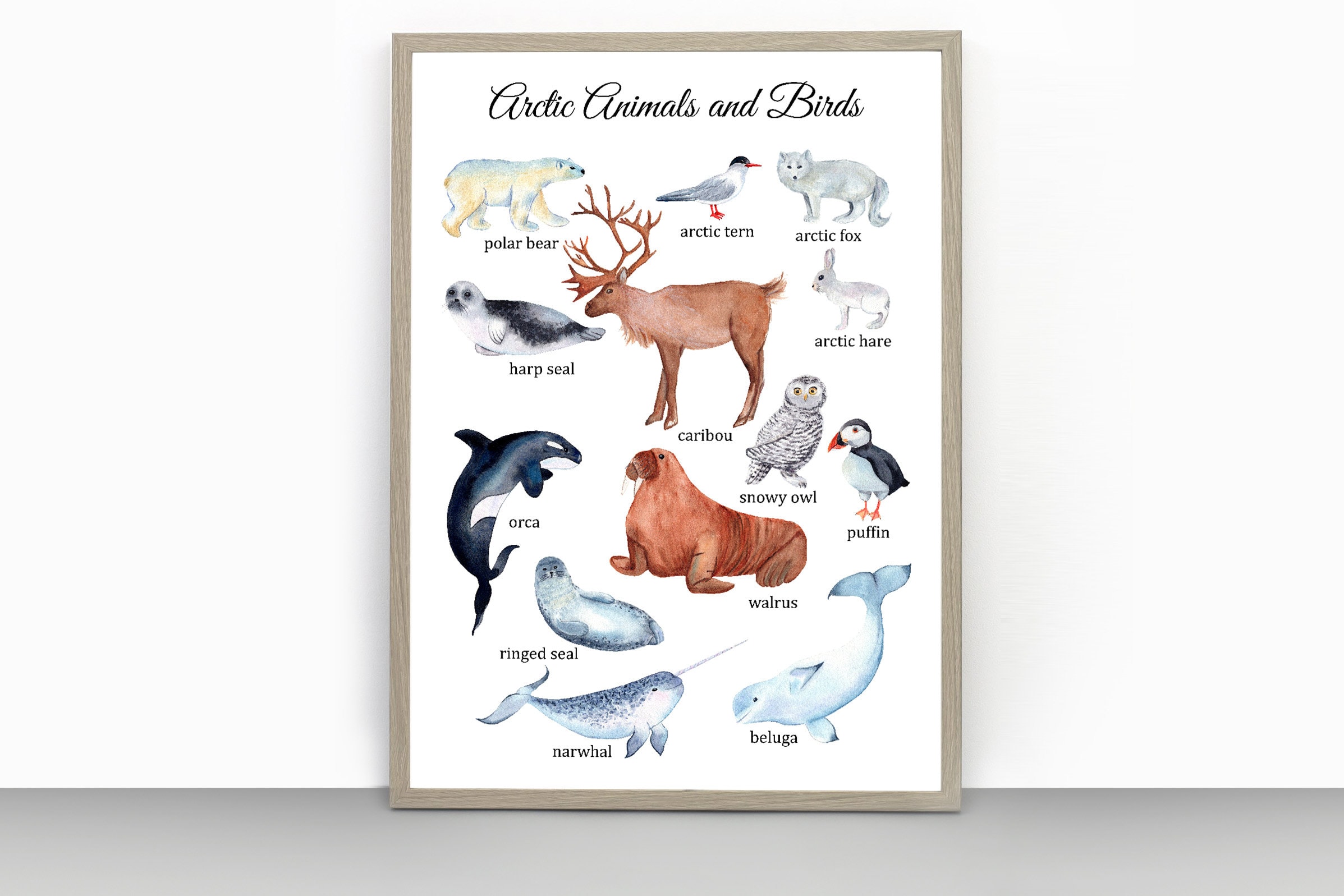 Arctic Animals Montessori Poster, Educational Poster, Polar Bear ...