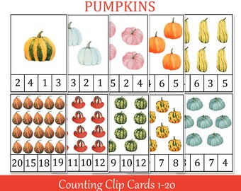 Sunflower Count and Clip 1-20 Number Cards Nature Homeschool - Etsy