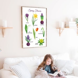Spring Flowers Montessori Poster, Educational Poster, Crocus, Daffodil ...