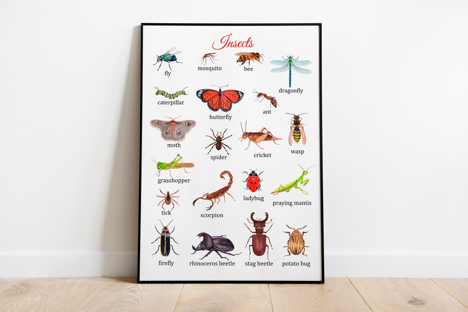 Insects Montessori Poster, Educational Poster, Types of Bugs and ...