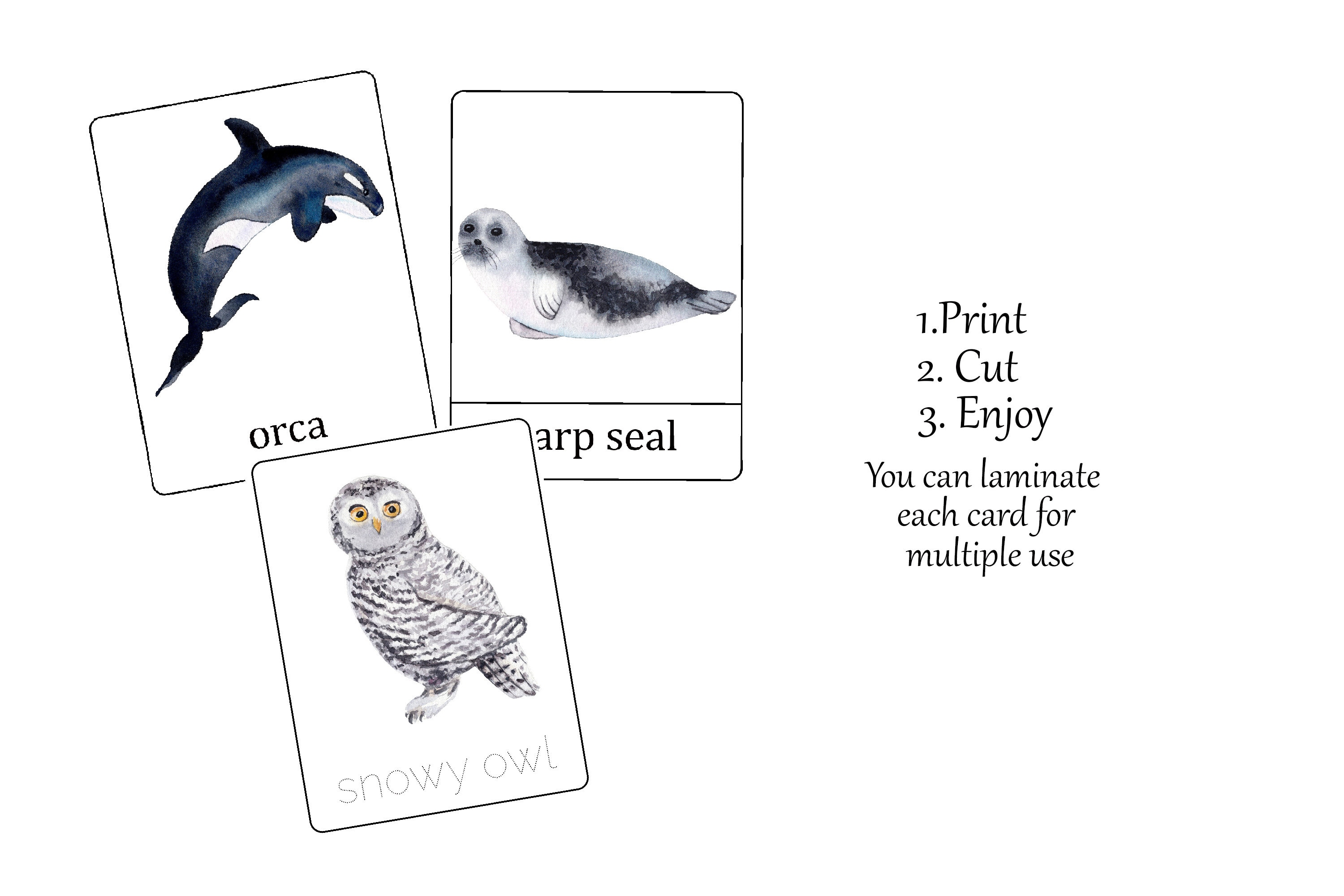 Arctic Animals Flash Cards. Montessori Three Part Cards. Nomenclature ...