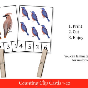 Winter Birds Count and Clip Cards, Number 1 - 20, Flashcards, Christmas ...