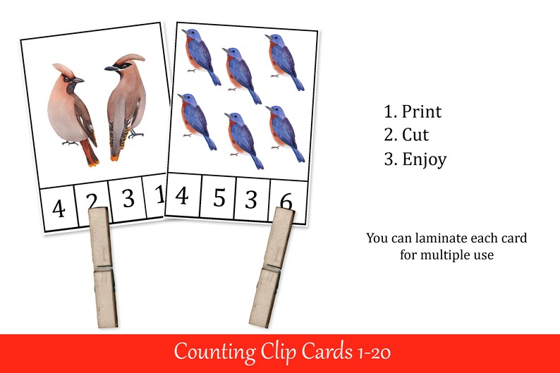 Winter Birds Count and Clip Cards Number 1 20 Flashcards - Etsy