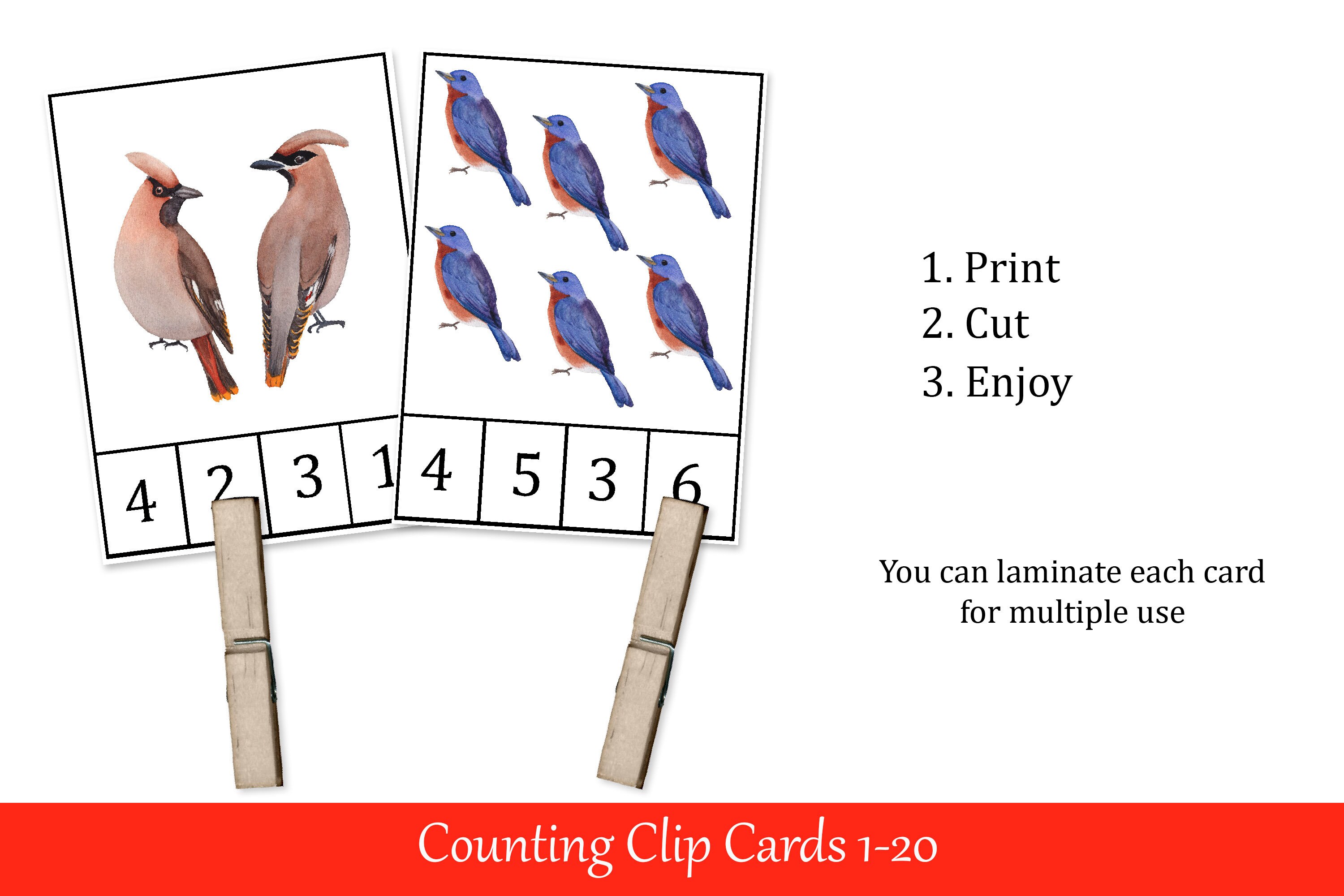 Winter Birds Count and Clip Cards, Number 1 20, Flashcards, Christmas ...