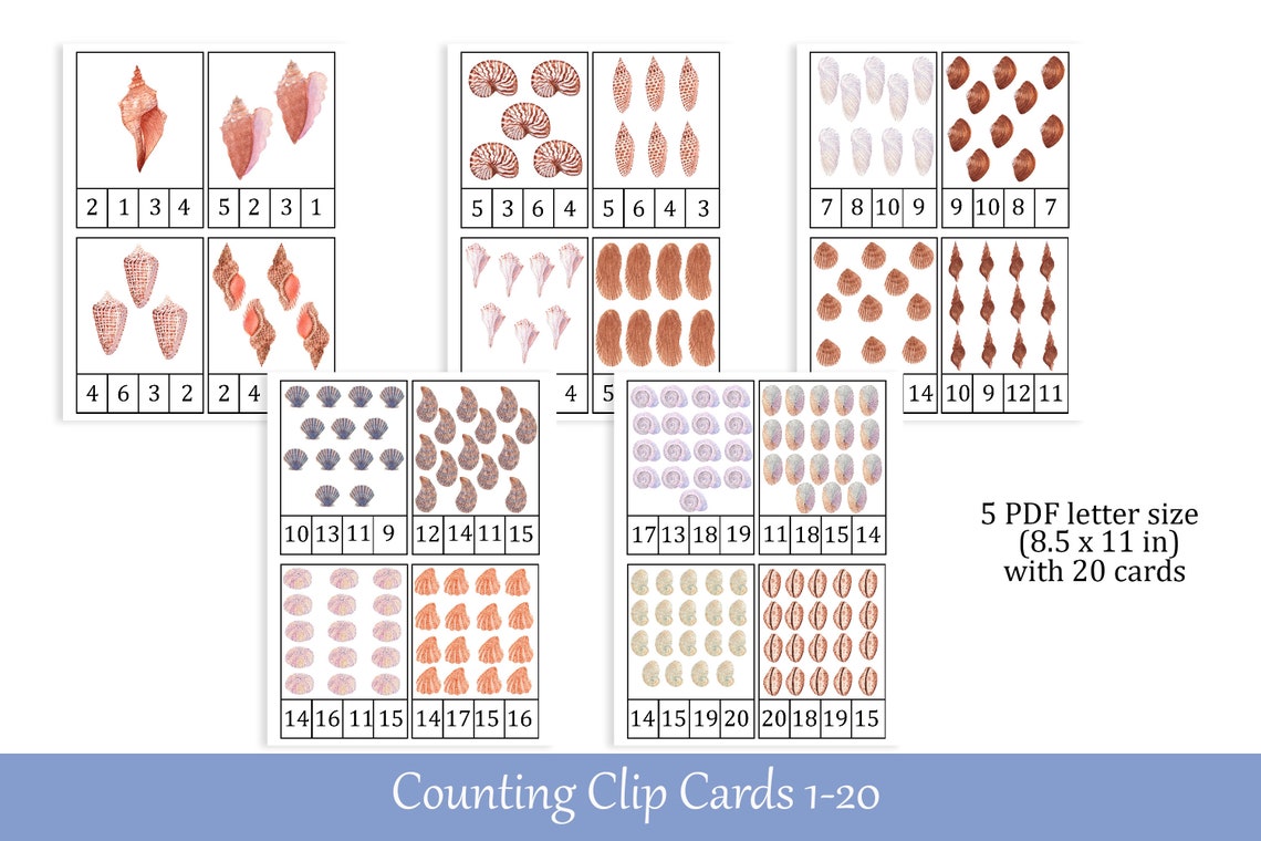 Seashells Count and Clip Cards, Number 1 20, Flashcards, Summer ...