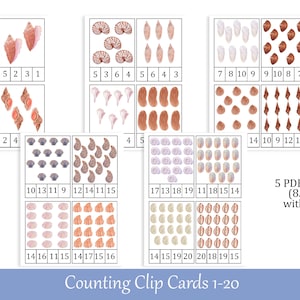 Seashells Count and Clip Cards, Number 1 - 20, Flashcards, Summer ...