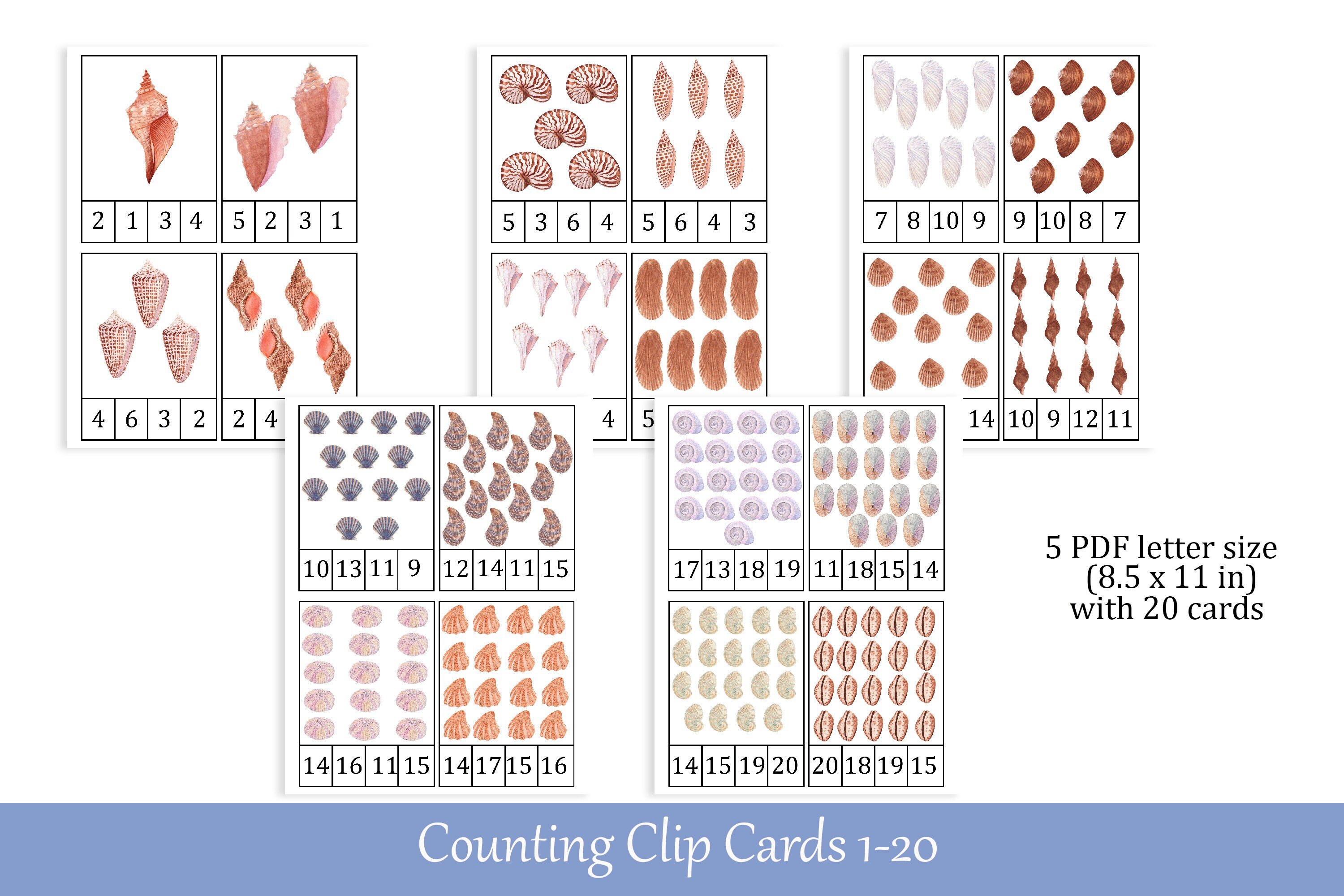 Seashells Count and Clip Cards, Number 1 - 20, Flashcards, Summer ...