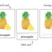 Fruits Watercolor Flash Cards. Montessori Three Part Cards ...