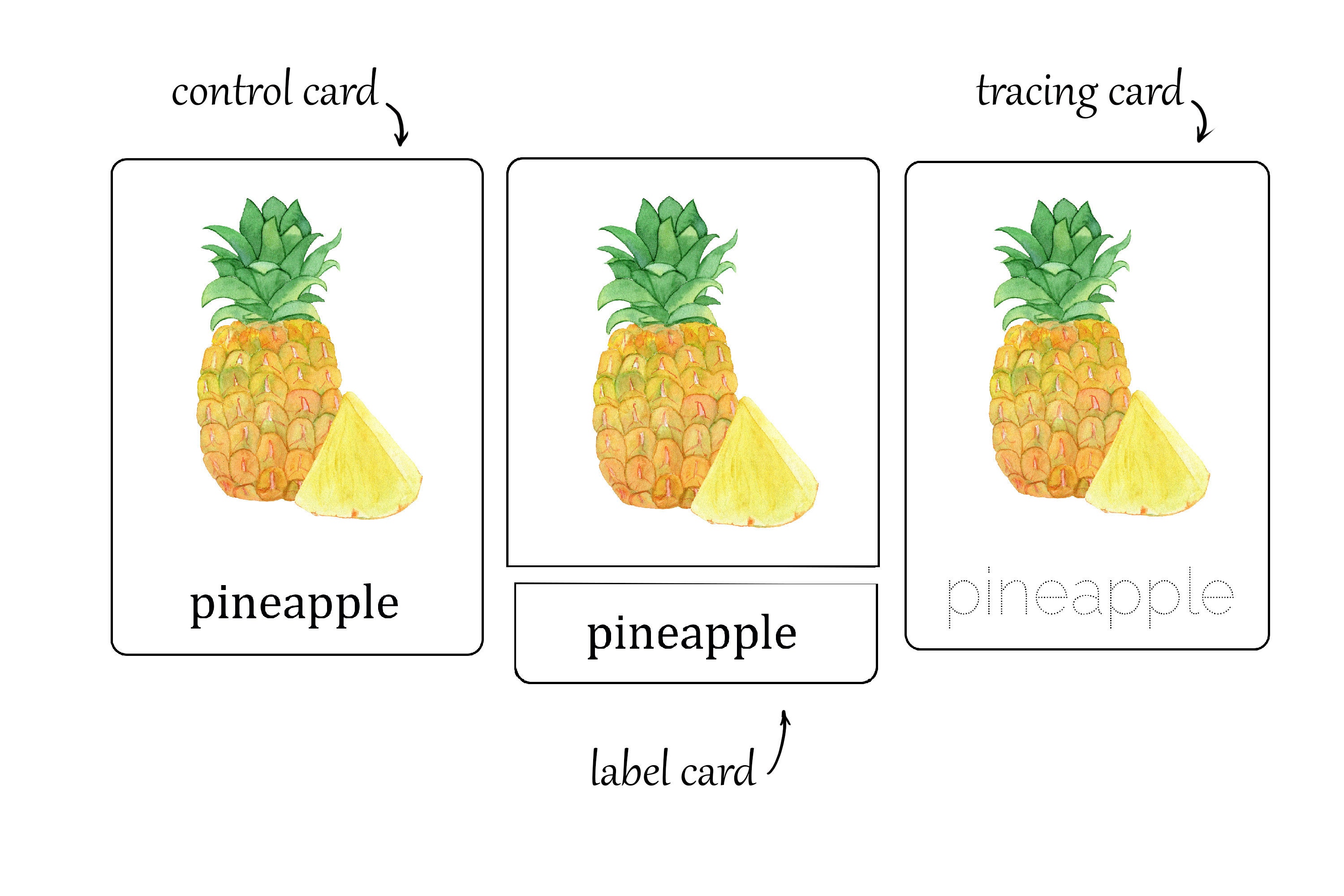 Fruits Watercolor Flash Cards. Montessori Three Part Cards ...