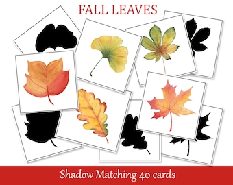 Fall Autumn Shadow Matching Cards Montessori Printable - Etsy