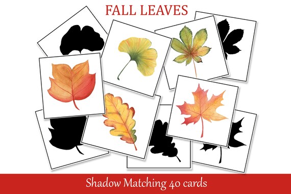 Autumn Leaves Shadow Matching Cards Toddler Montessori - Etsy