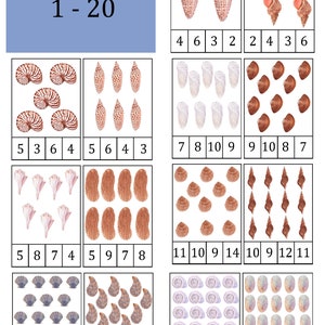 Seashells Count and Clip Cards, Number 1 - 20, Flashcards, Summer ...