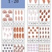 Seashells Count and Clip Cards, Number 1 - 20, Flashcards, Summer ...