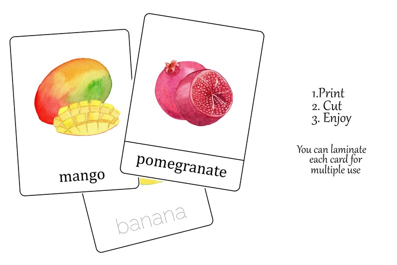 Fruits Watercolor Flash Cards. Montessori Three Part Cards ...