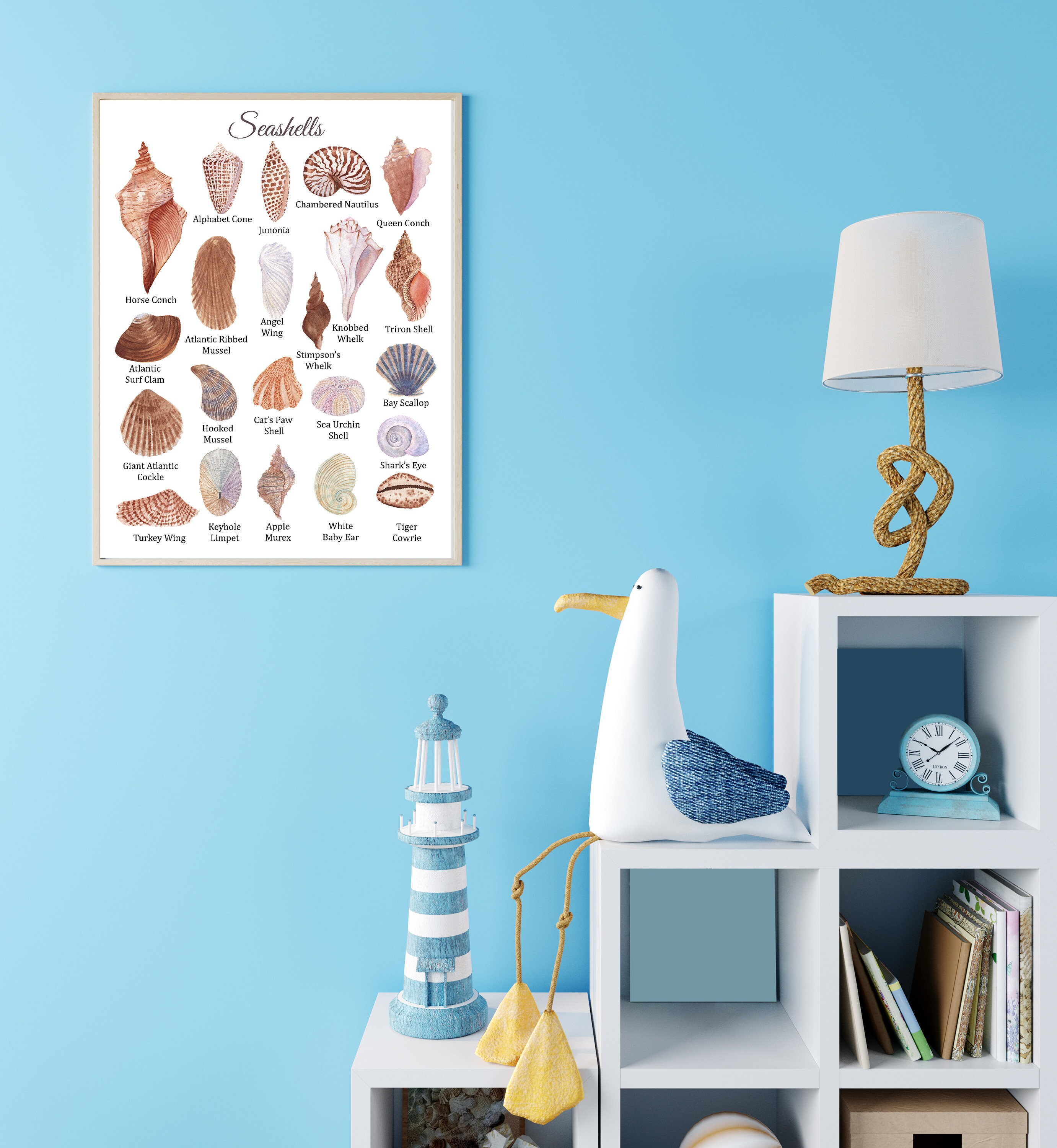 Seashells Montessori Poster, Summer Educational Poster, Beach Printable ...