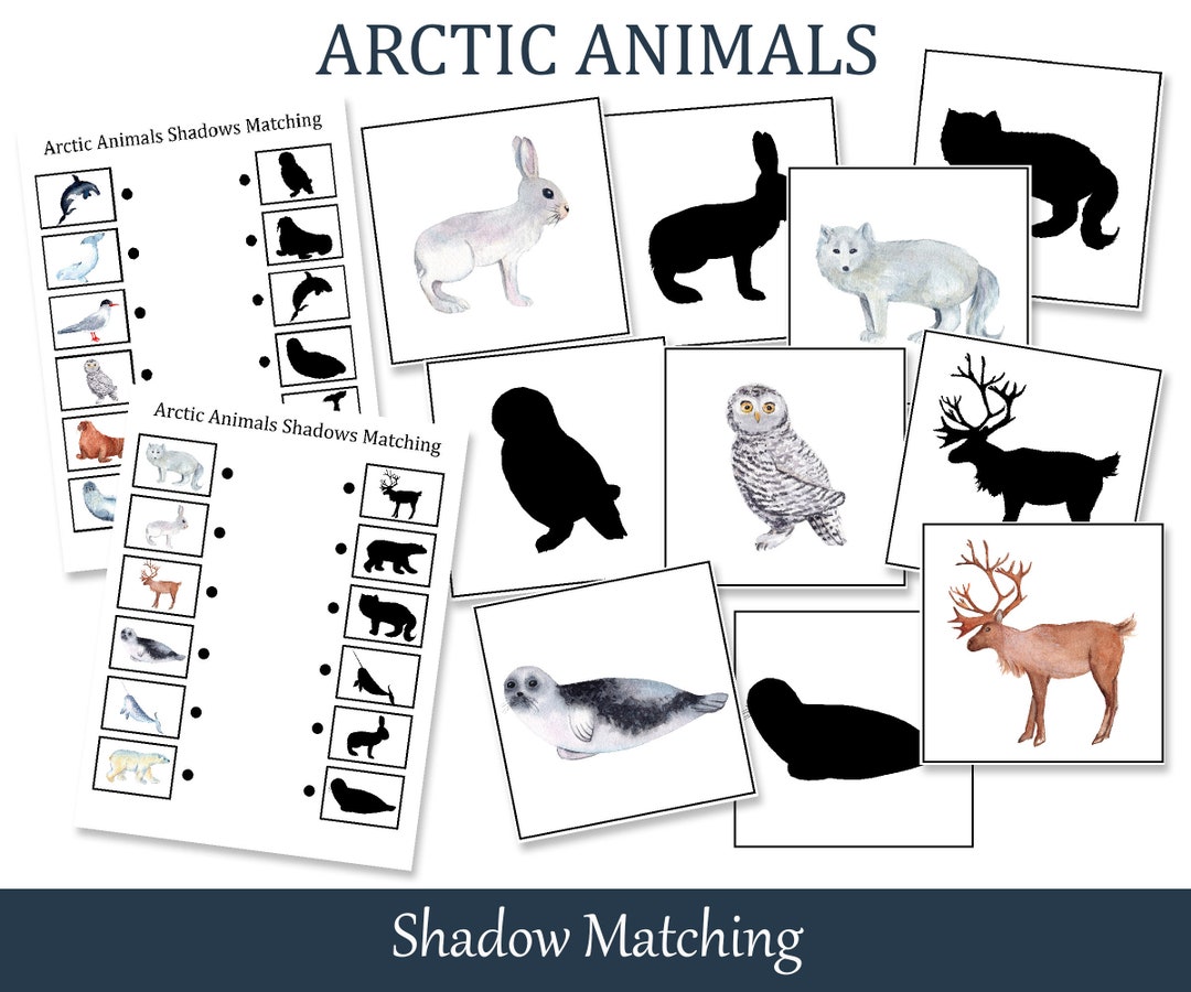 Arctic Animals Shadow Matching Cards, Toddler Montessori Printable ...