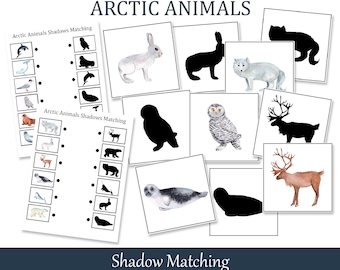 Arctic Animal Shadow Matching Polar Printable Learning Binder Winter ...