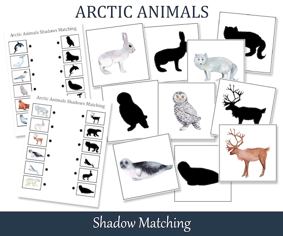 Arctic Animals Shadow Matching Cards Toddler Montessori - Etsy