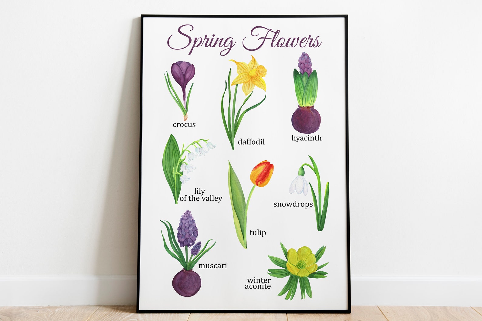 Spring Flowers Montessori Poster, Educational Poster, Crocus, Daffodil ...