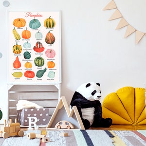 Fall Pumpkins Montessori Poster, Thanksgiving, Educational Poster ...