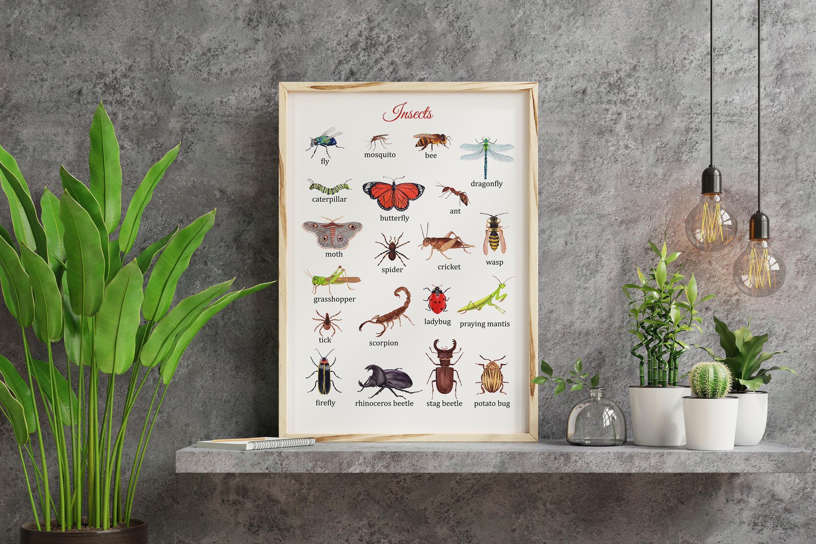 Insects Montessori Poster, Educational Poster, Types of Bugs and ...