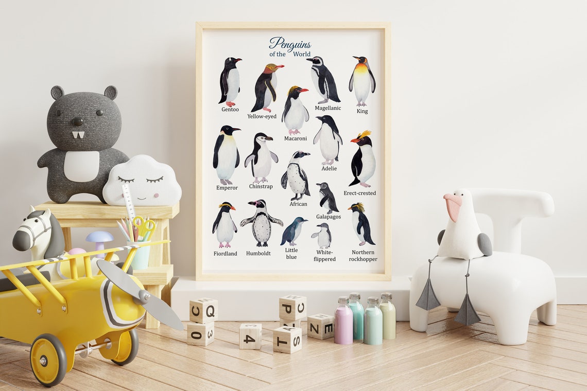Penguins Species Montessori Poster Educational Poster Types - Etsy