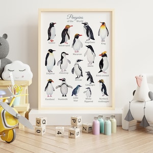 Penguins Species Montessori Poster, Educational Poster, Types of ...