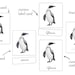 Penguins Species Identification Montessori 3 Part Cards, Preschool ...