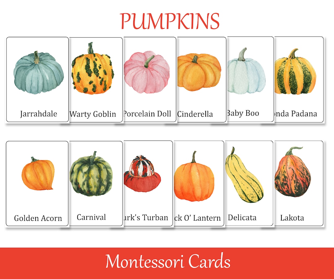 Pumpkins Montessori 3 Part Cards, Fall Preschool Flash Cards ...