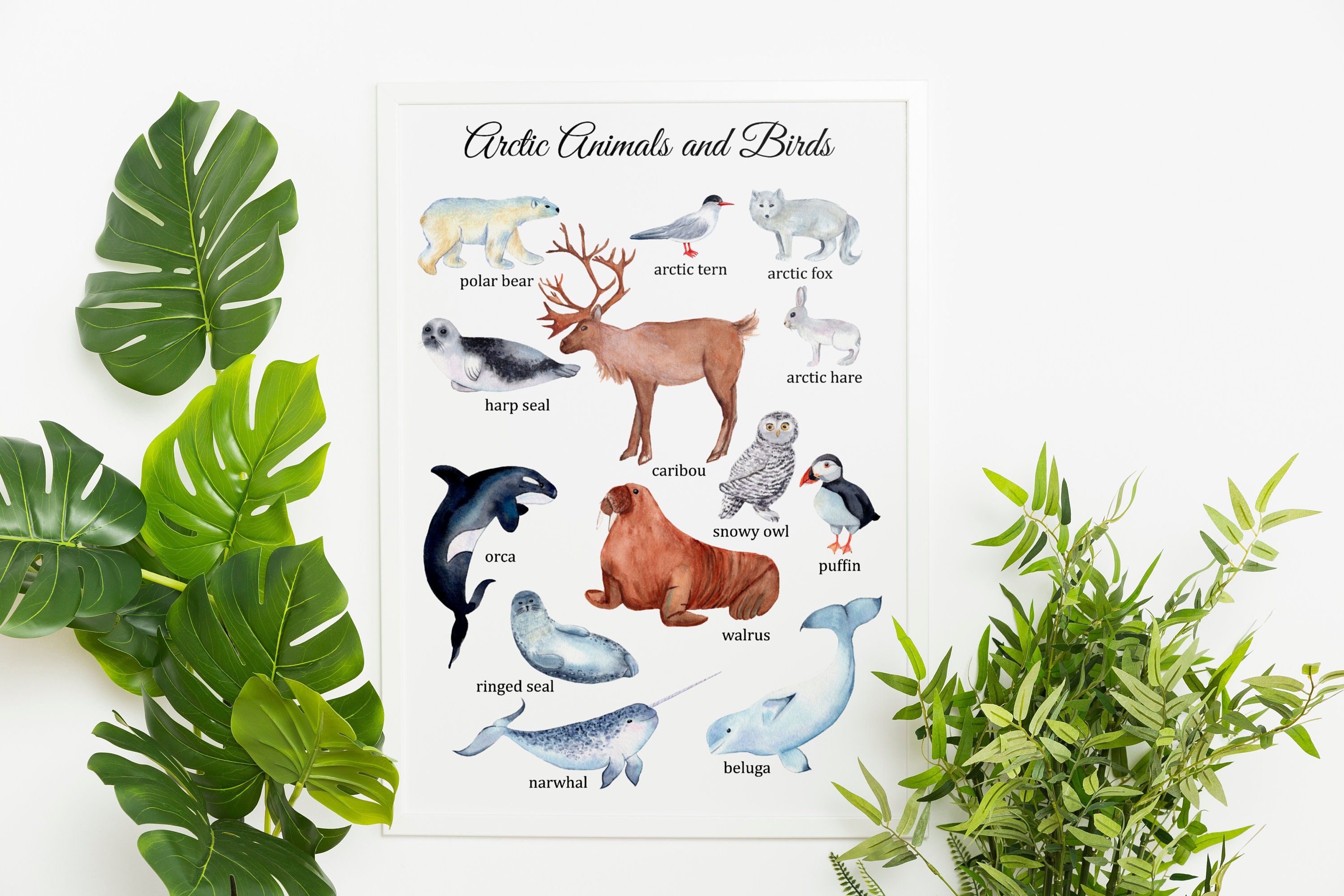 Arctic Animals Montessori Poster, Educational Poster, Polar Bear ...