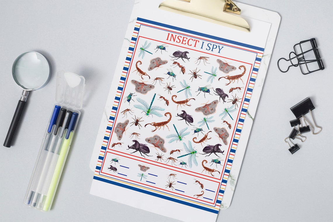 I Spy Insects, Bugs and Beetles Summer Printable Game for Kids ...