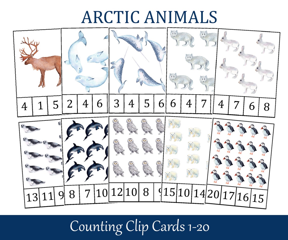 Arctic Animals Count and Clip Cards, Montessori Counting Numbers 1 20 ...