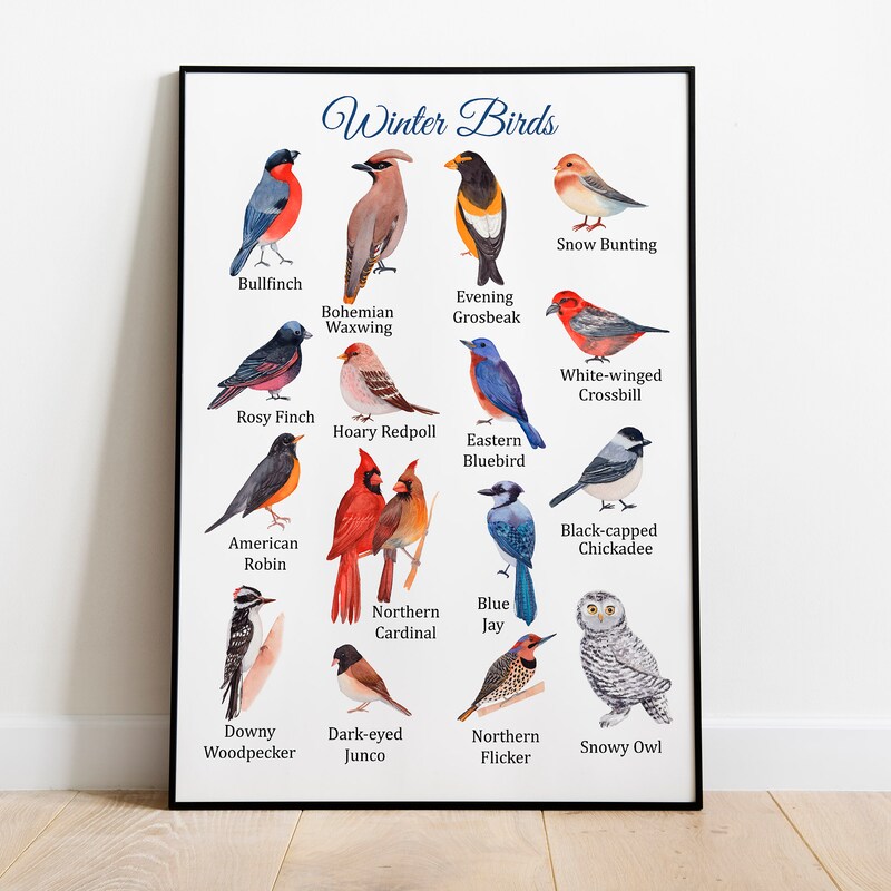 Winter Birds - Etsy