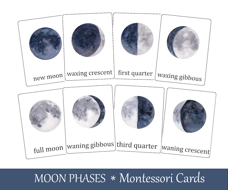 Moon Phases Flash Cards. Montessori Three Part Cards. Nomenclature ...