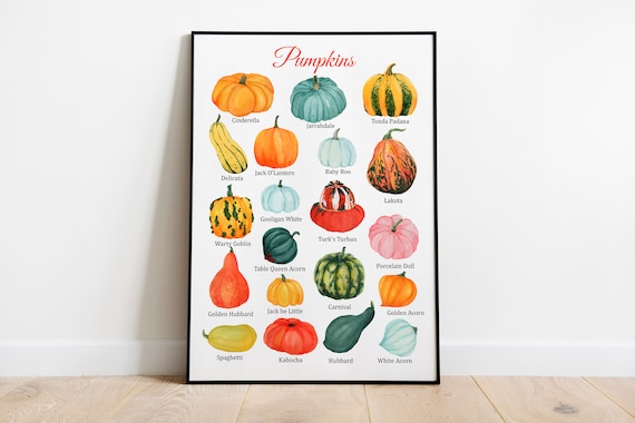 Fall Pumpkins Montessori Poster Thanksgiving Educational - Etsy