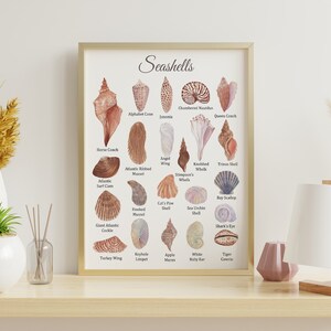 Seashells Montessori Poster, Summer Educational Poster, Beach Printable ...