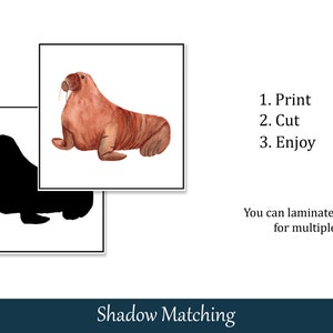 Arctic Animals Shadow Matching Cards, Toddler Montessori Printable ...
