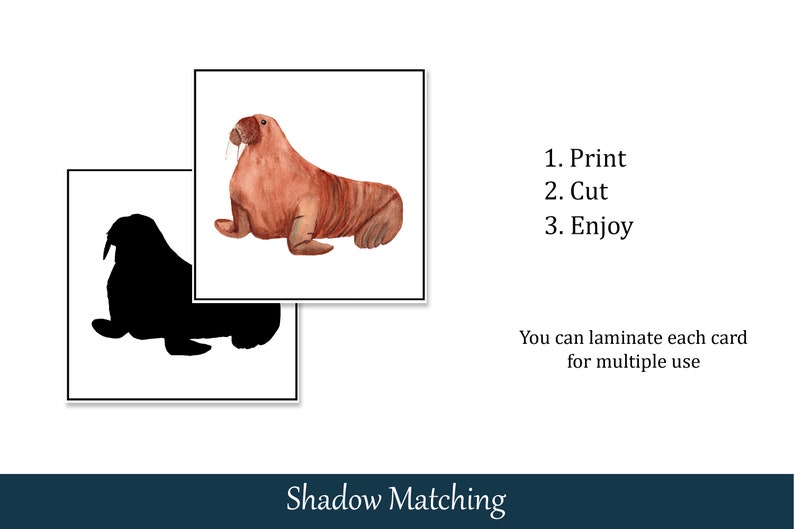 Arctic Animals Shadow Matching Cards, Toddler Montessori Printable ...