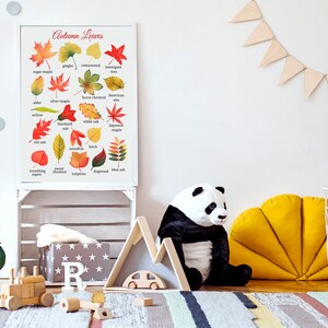 Fall Leaf Identification Montessori Poster, Educational Poster, Autumn ...