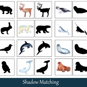 Arctic Animals Shadow Matching Cards, Toddler Montessori Printable ...