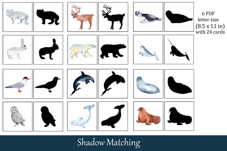 Arctic Animals Shadow Matching Cards, Toddler Montessori Printable ...