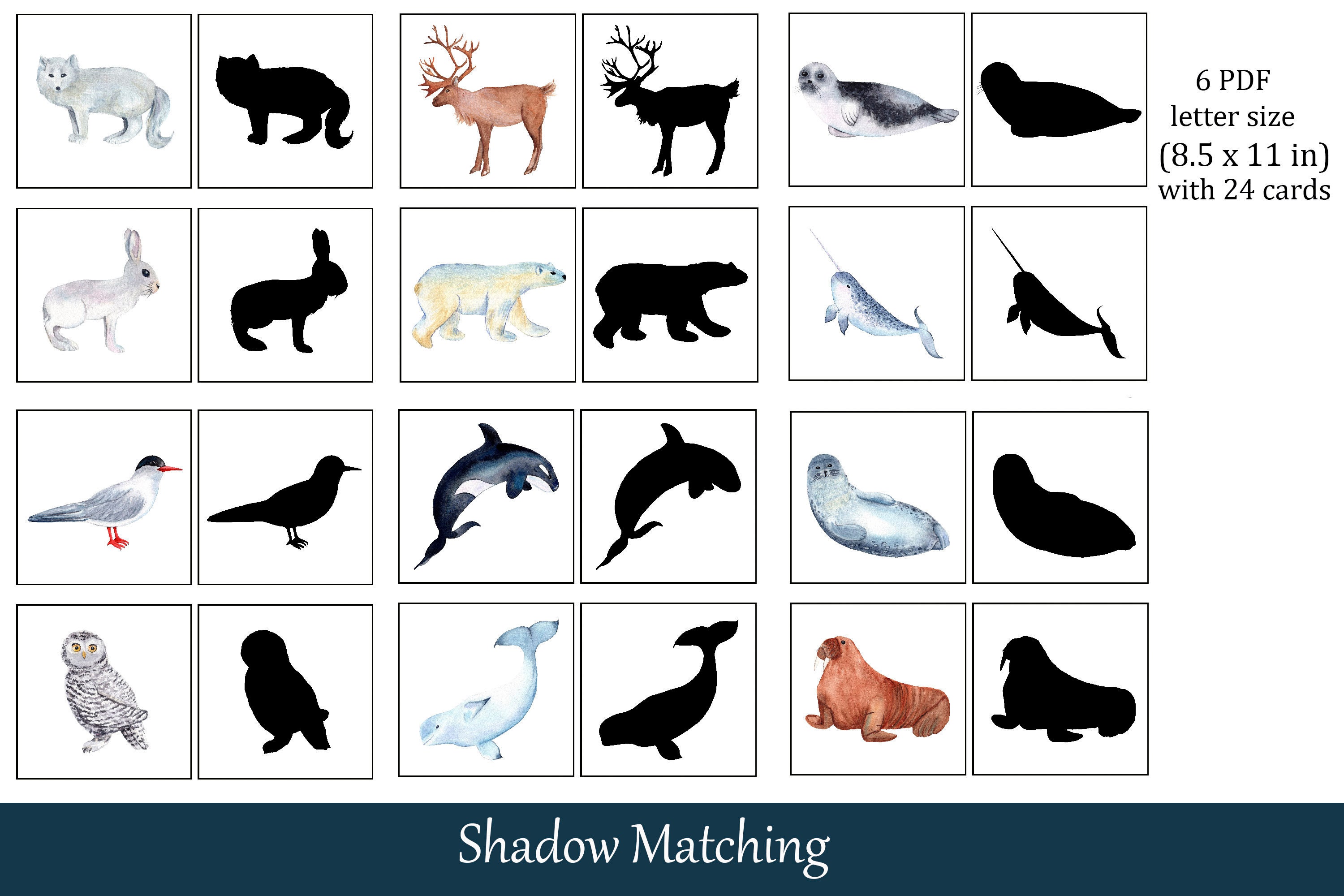 Arctic Animals Shadow Matching Cards, Toddler Montessori Printable ...