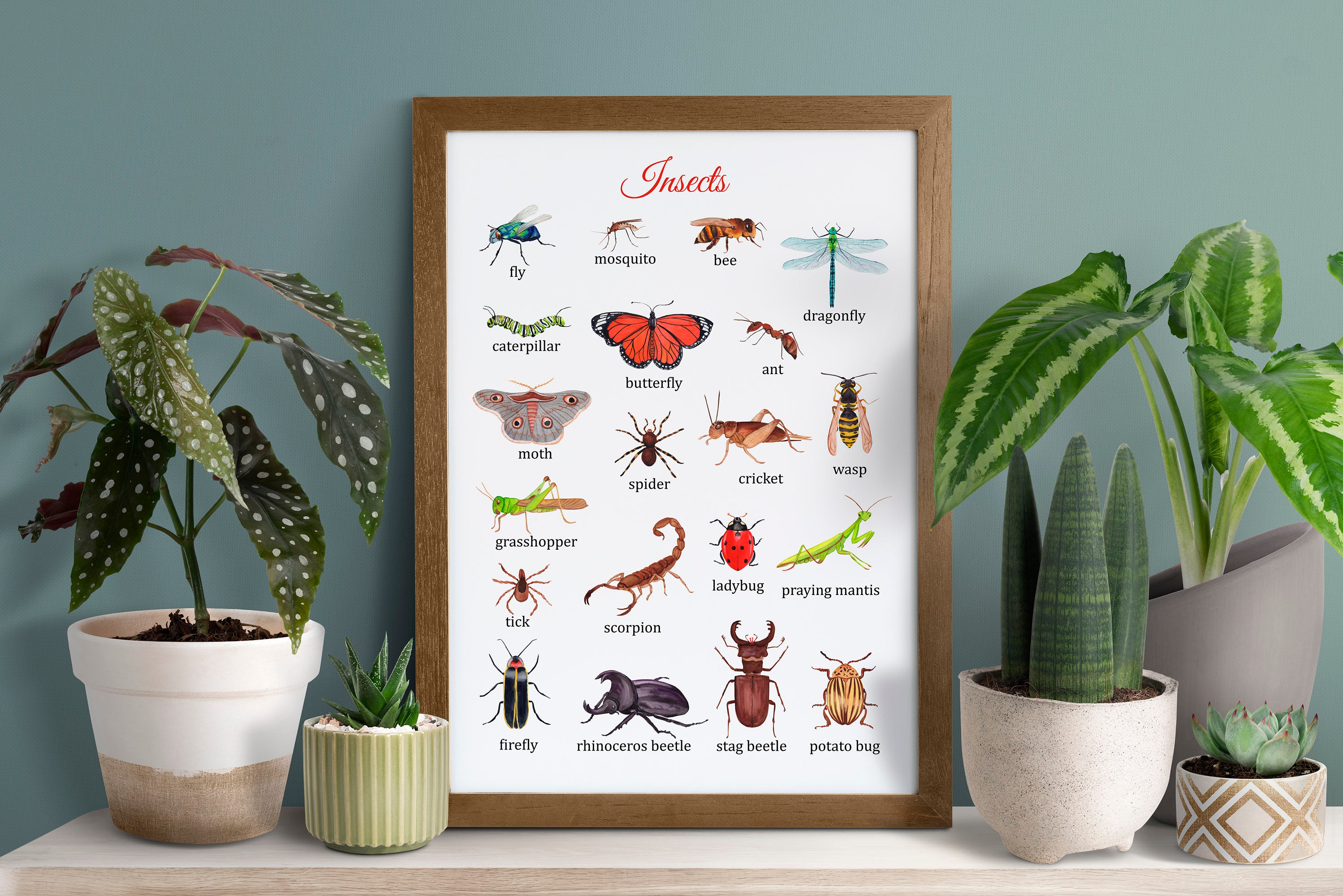 Insects Montessori Poster, Educational Poster, Types of Bugs and ...