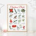 Christmas Plants Identification Montessori Poster, Educational Poster ...