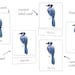 Winter Birds Identification Montessori 3 Part Cards, Preschool Flash ...