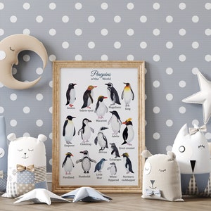 Penguins Species Montessori Poster, Educational Poster, Types of ...
